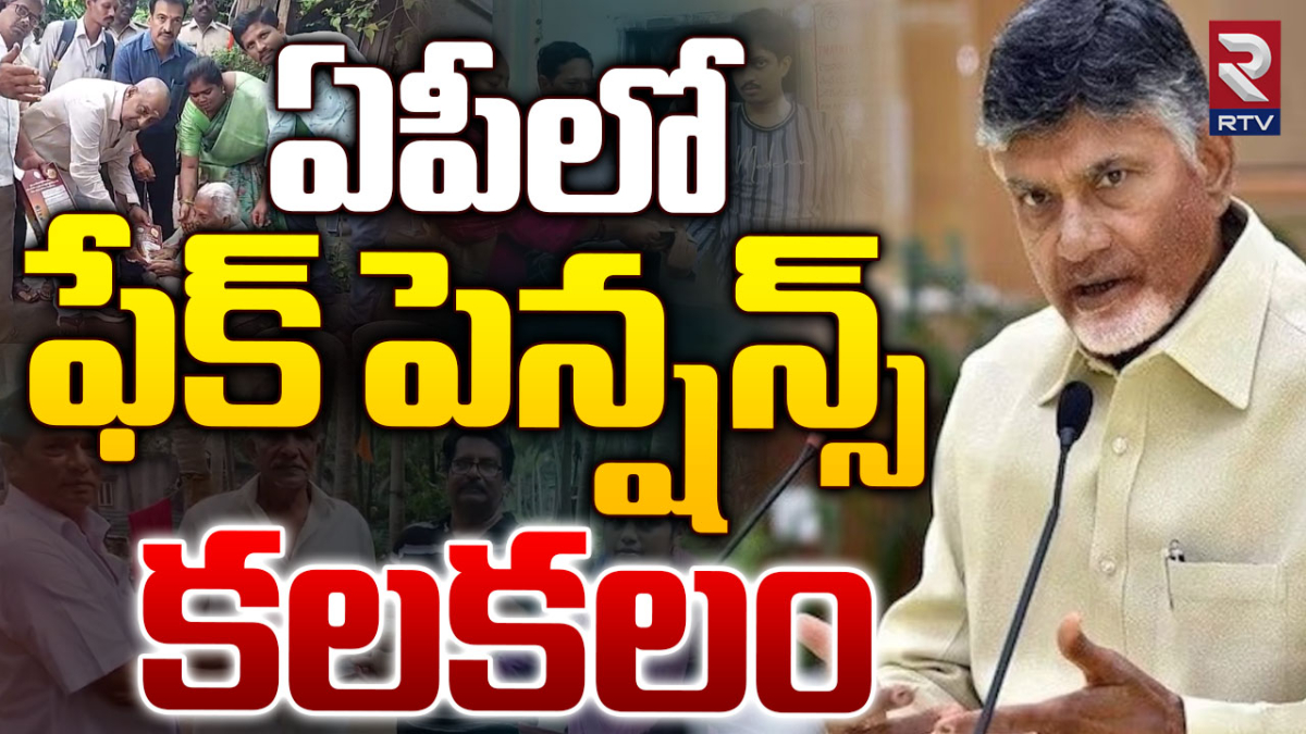 AP Pensions: చంద్రబాబు సర్కార్‌కు దొంగ పెన్షనర్లు షాక్ - Rtvlive.com